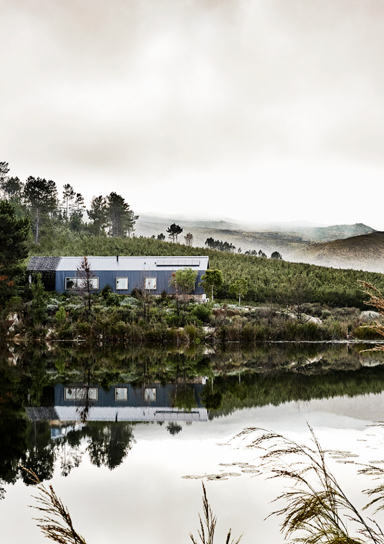 Fresh Farm - Verve Magazine