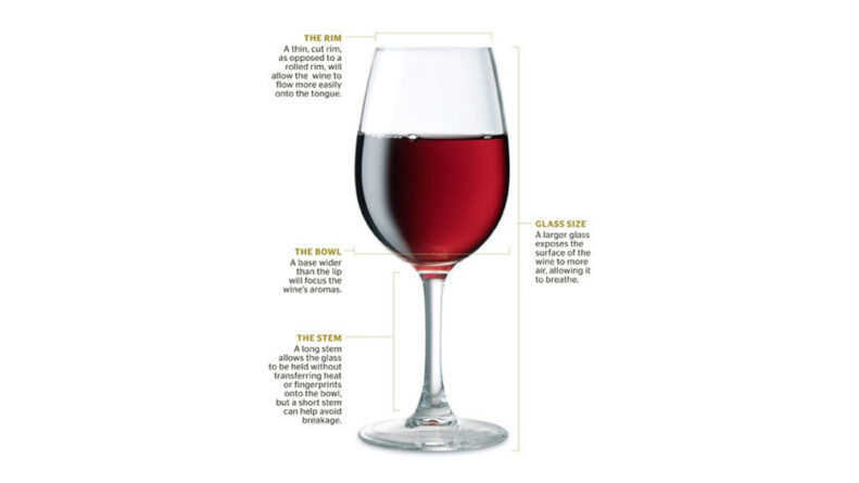 Wine Glass 101: Choosing the Right Shape for Every Wine - Verve Magazine