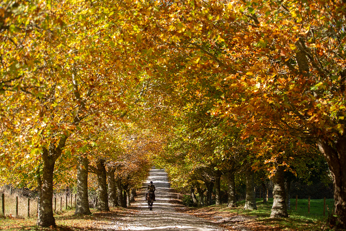 Where Luxury Meets Nature - Verve Magazine